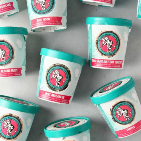 Wholesale Sample Pack – Chocolate Shoppe Ice Cream